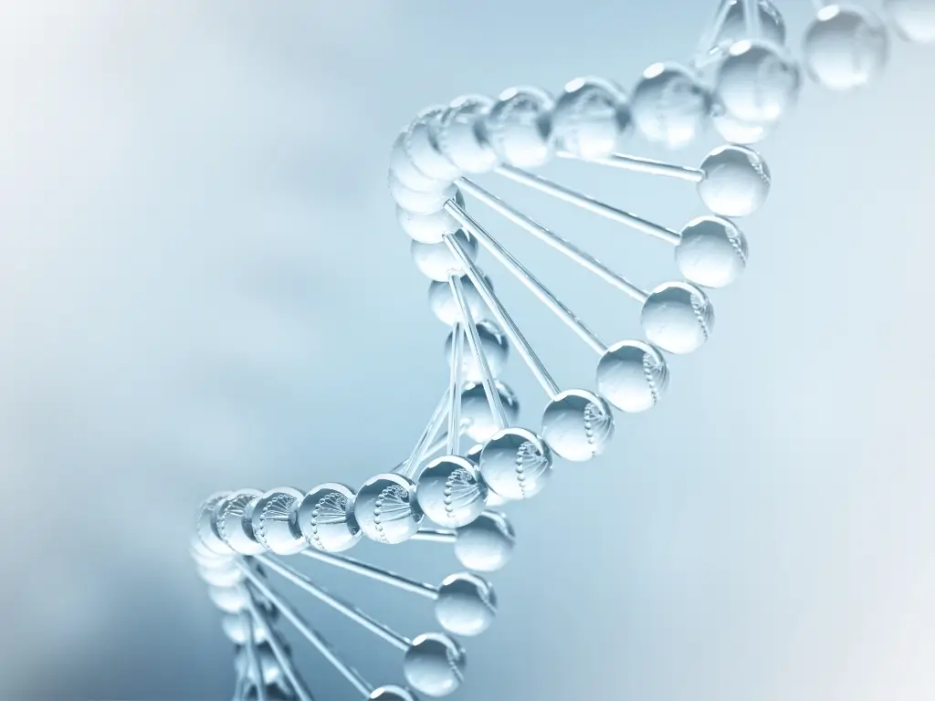 Life Sciences Consulting Services & Digital Solutions | ITMTB